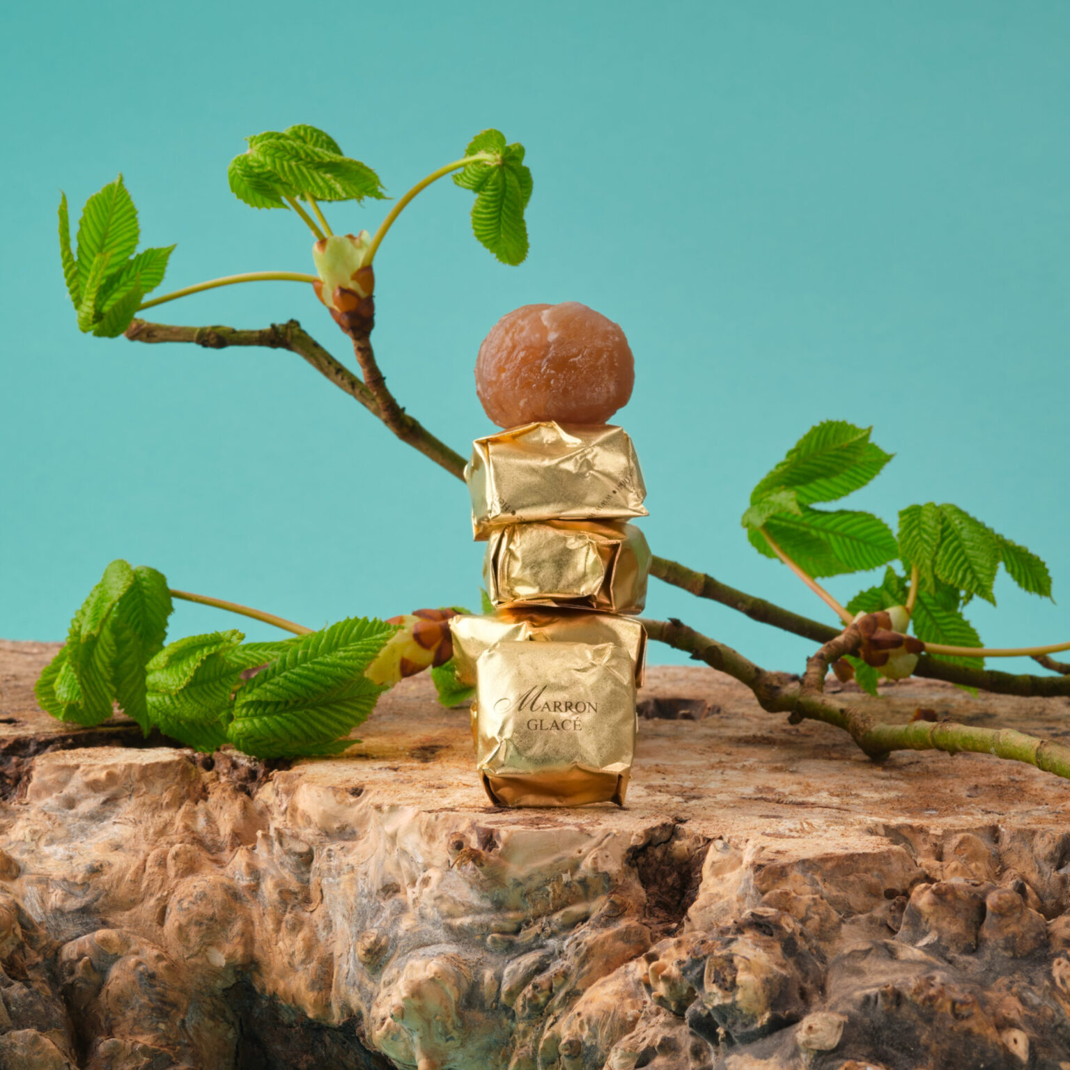 Award Winning Marrons Glacé | Walnut Tree Luxury Chestnut Gift