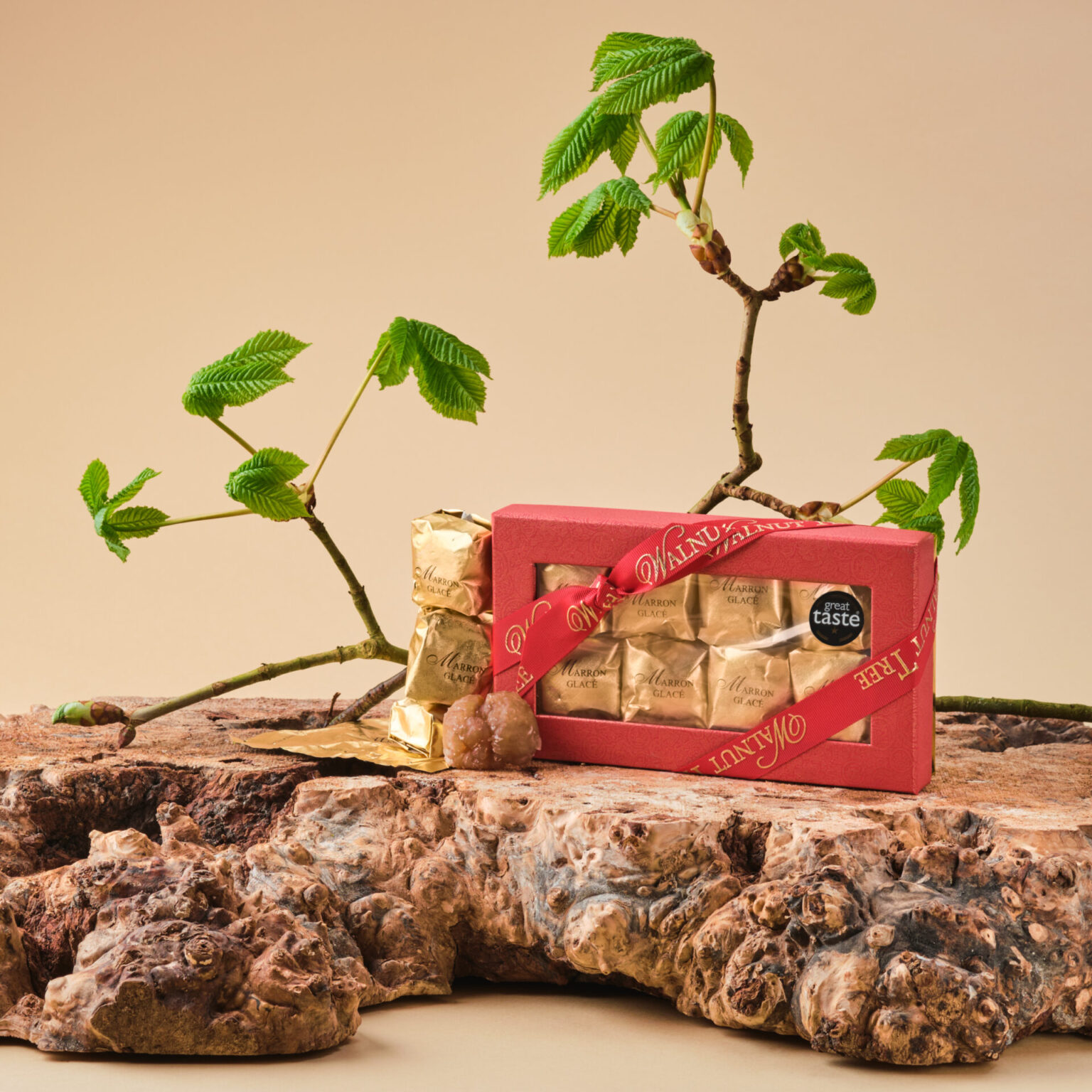 Home - Walnut Tree